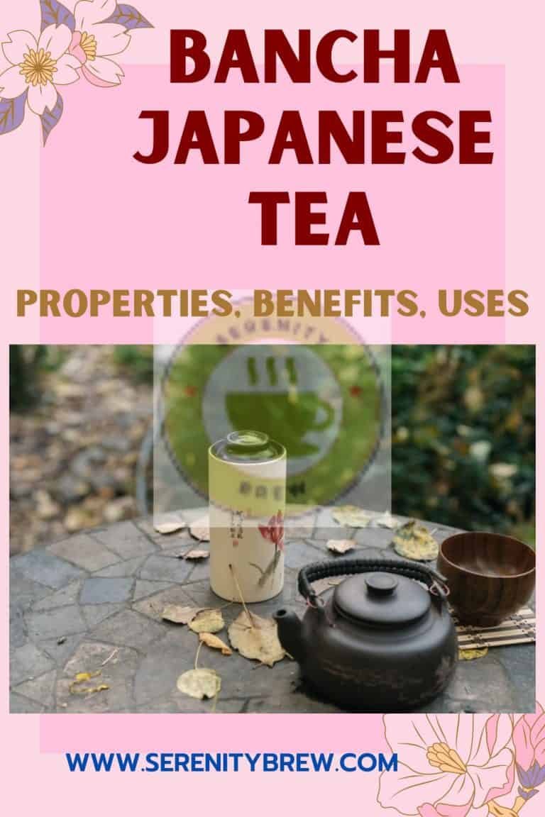 Bancha Japanese tea: properties, benefits, uses - Serenity Brew
