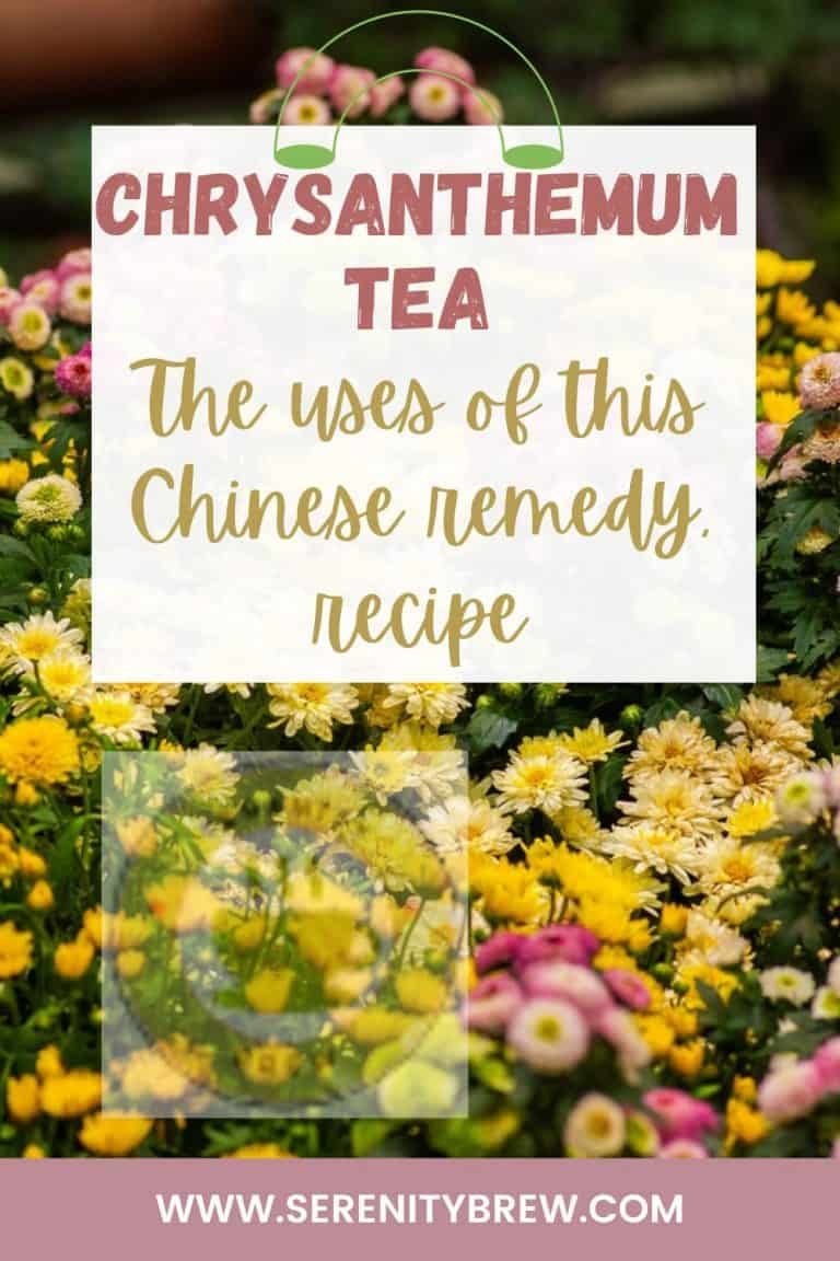Chrysanthemum tea: the uses of this Chinese remedy, recipe - Serenity Brew