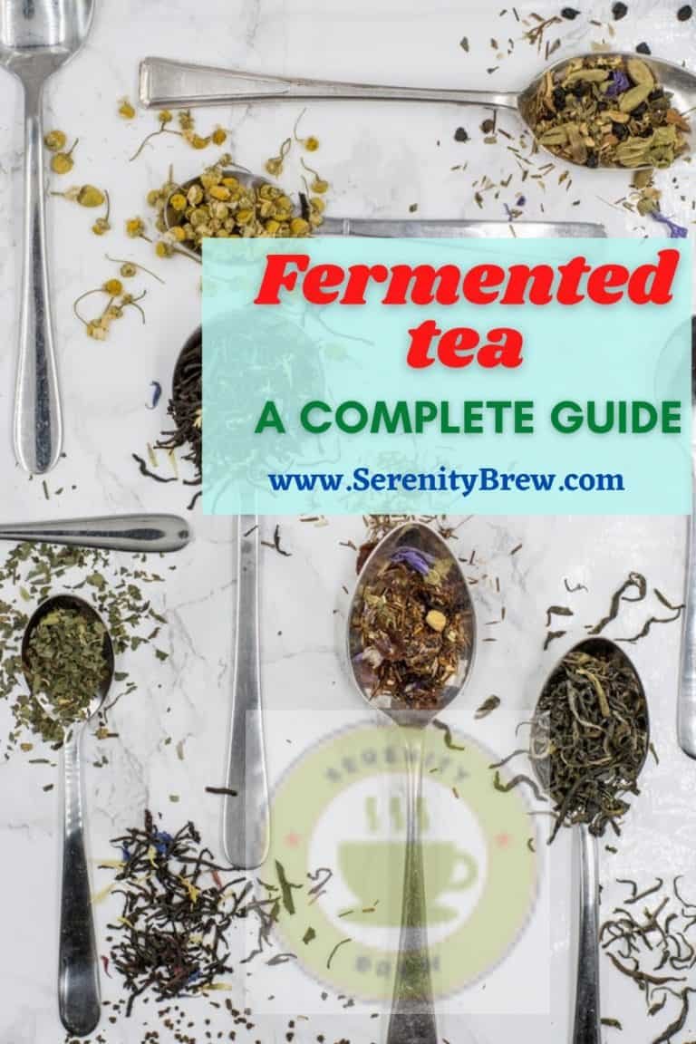 Fermented tea: a complete guide - Serenity Brew