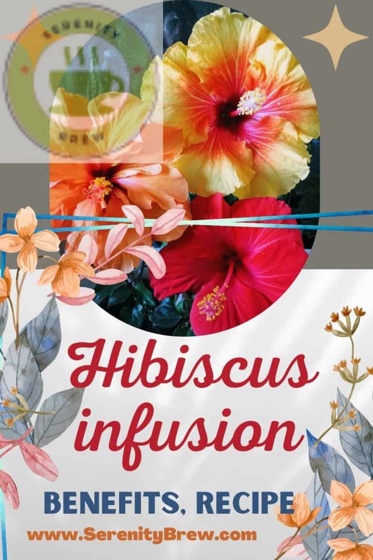 Hibiscus infusion: properties, benefits, recipe - Serenity Brew