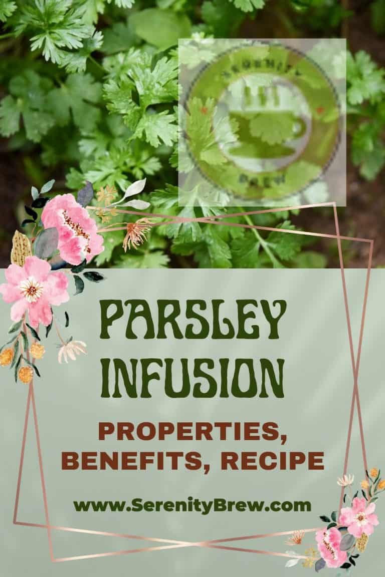 Parsley infusion: properties, benefits, recipe - Serenity Brew