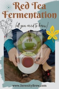 Red Tea Fermentation: all you need to know - Serenity Brew