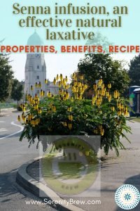 Senna infusion, an effective natural laxative: properties, benefits ...