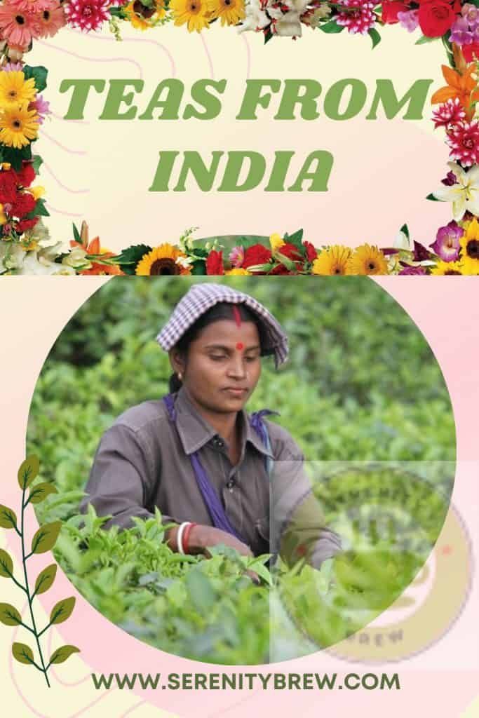 Teas from India - Serenity Brew