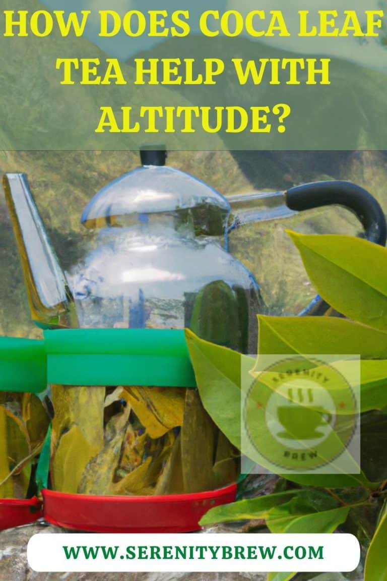 Coca tea: properties, benefits, how to drink it, risks - Serenity Brew