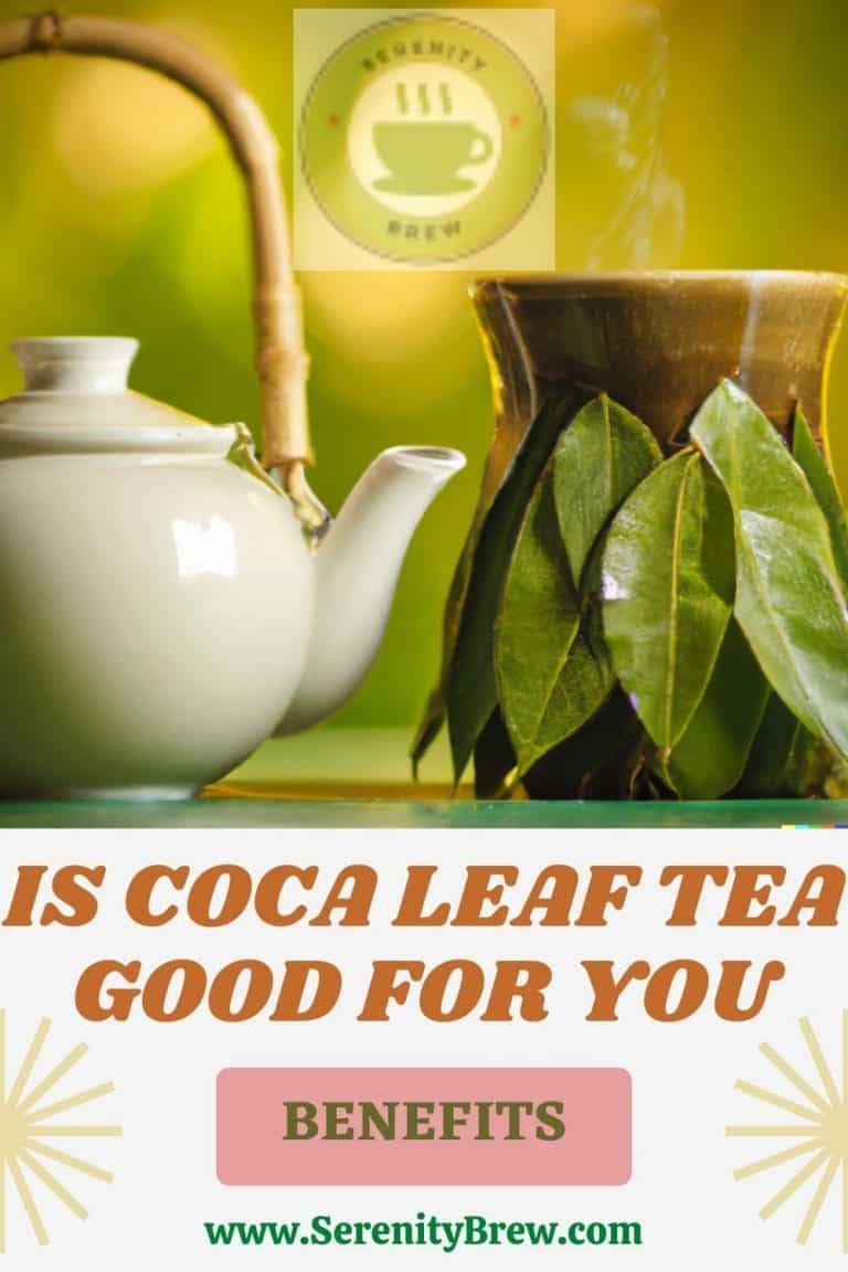 Coca tea: properties, benefits, how to drink it, risks - Serenity Brew