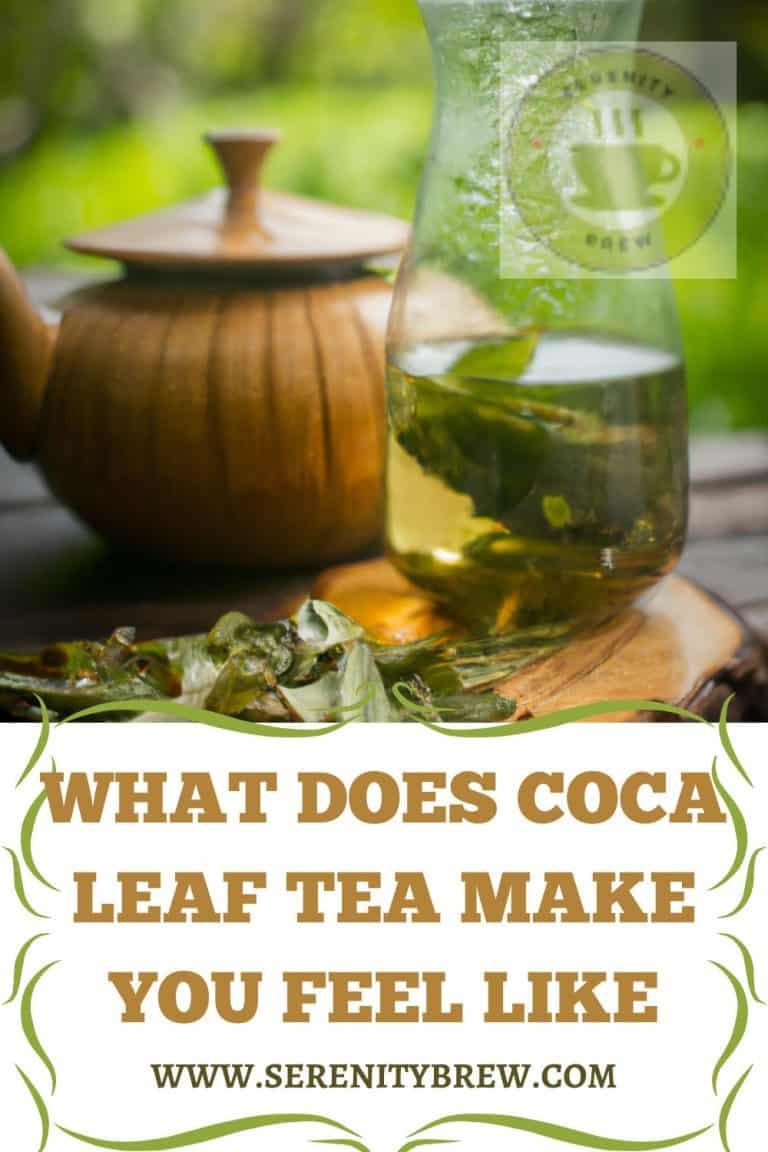 Coca tea: properties, benefits, how to drink it, risks - Serenity Brew