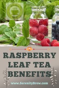 Raspberry Leaf Tea Benefits - Serenity Brew