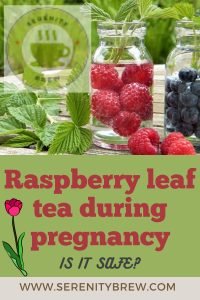 Raspberry leaf tea during pregnancy, is it safe? - Serenity Brew