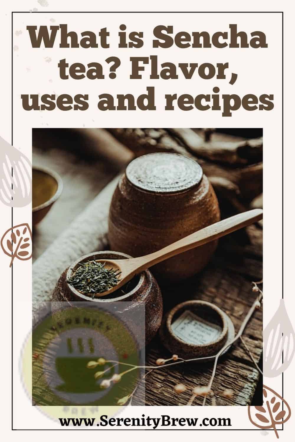 What Is Sencha Tea Flavor Uses And Recipes Serenity Brew What Is Sencha Tea Flavor Uses And Recipes Serenity Brew