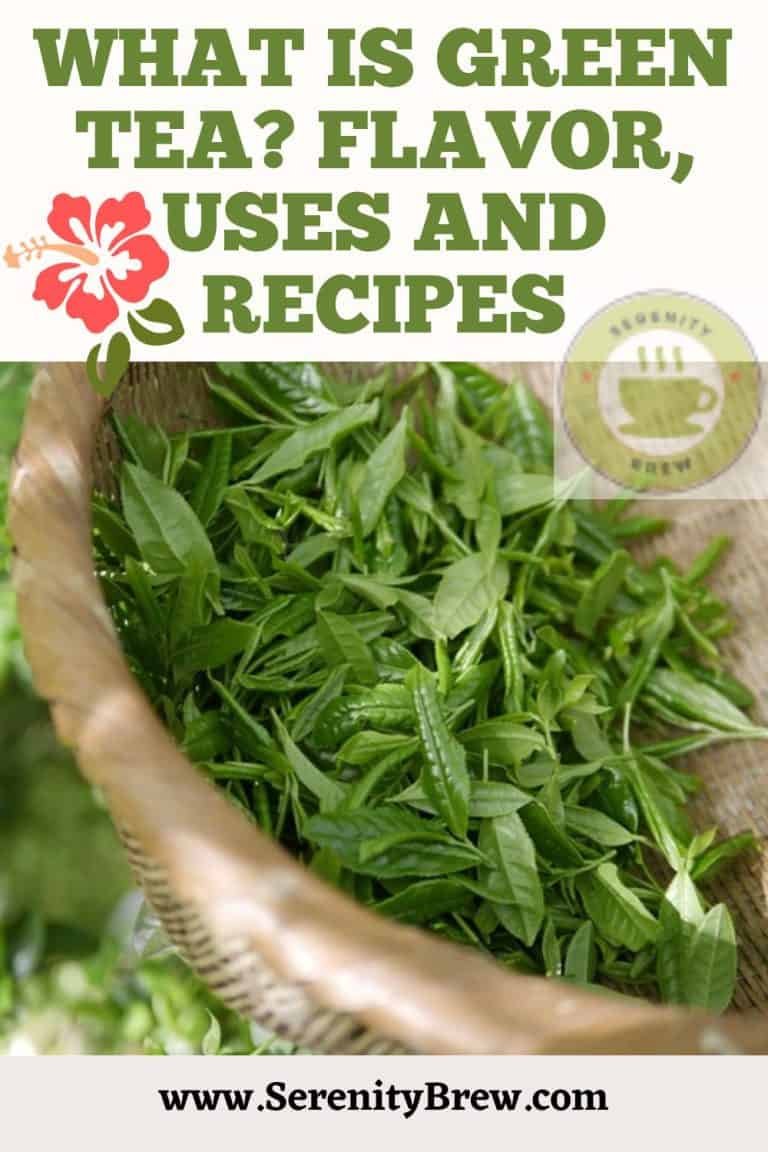 What is green tea? Flavor, uses and recipes - Serenity Brew