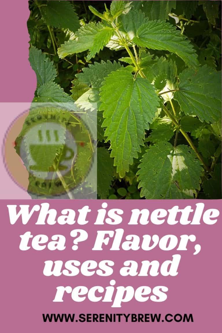 What is nettle tea? Flavor, uses and recipes - Serenity Brew