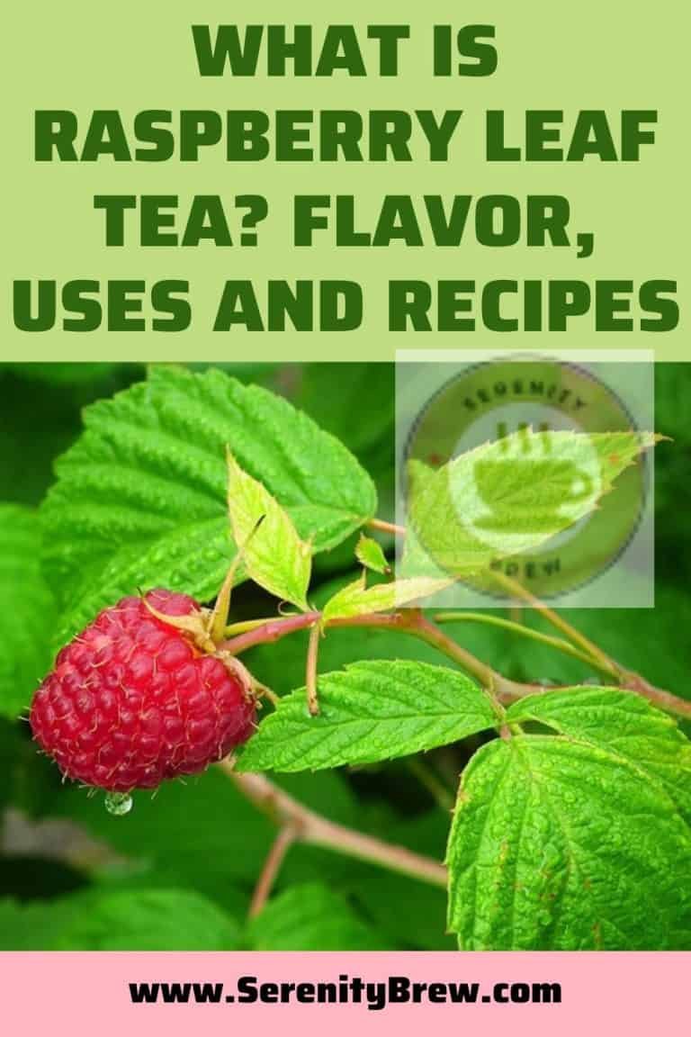 What is raspberry leaf tea? Flavor, uses and recipes - Serenity Brew