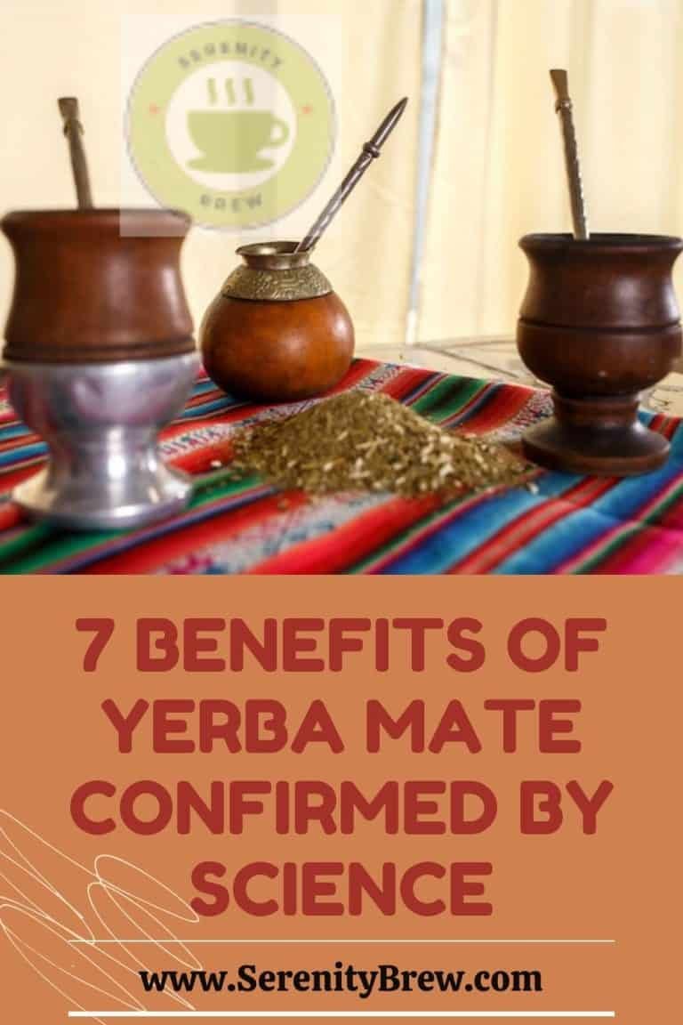 7 benefits of yerba mate confirmed by science - Serenity Brew