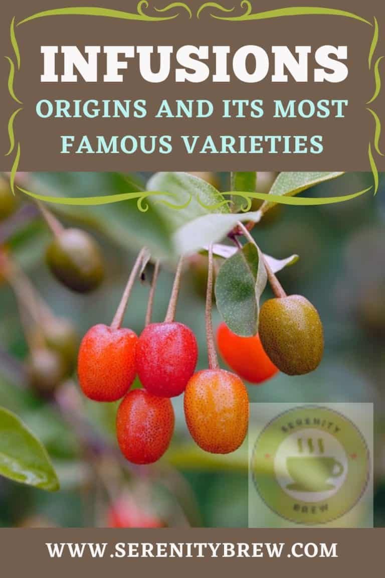 Infusions: Origins and its most famous varieties - Serenity Brew